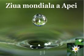22 martie – Ziua Mondială a Apei,cu genericul „Apă pentru Pace”